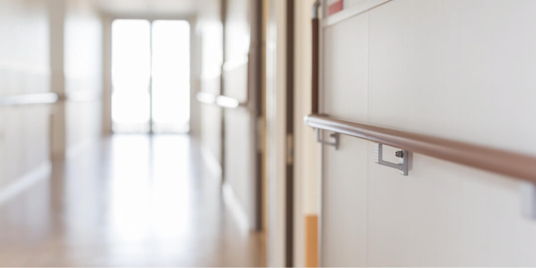 Amvis Holdings, Inc.