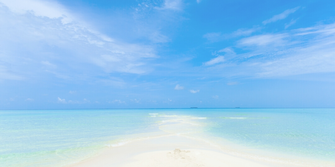 Amvis Holdings, Inc.