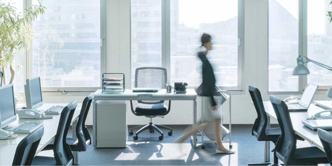 Amvis Holdings, Inc.