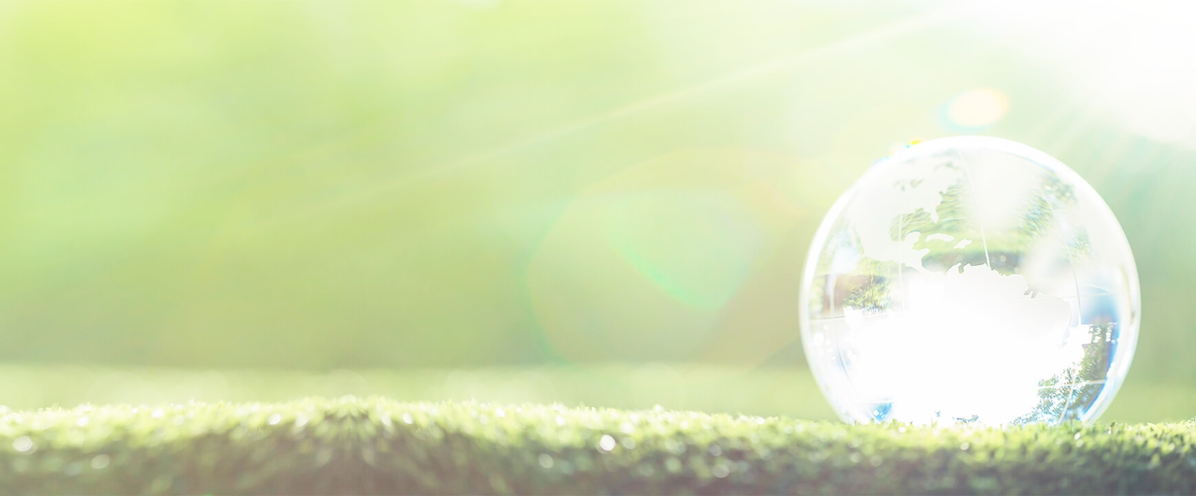 Amvis Holdings, Inc.